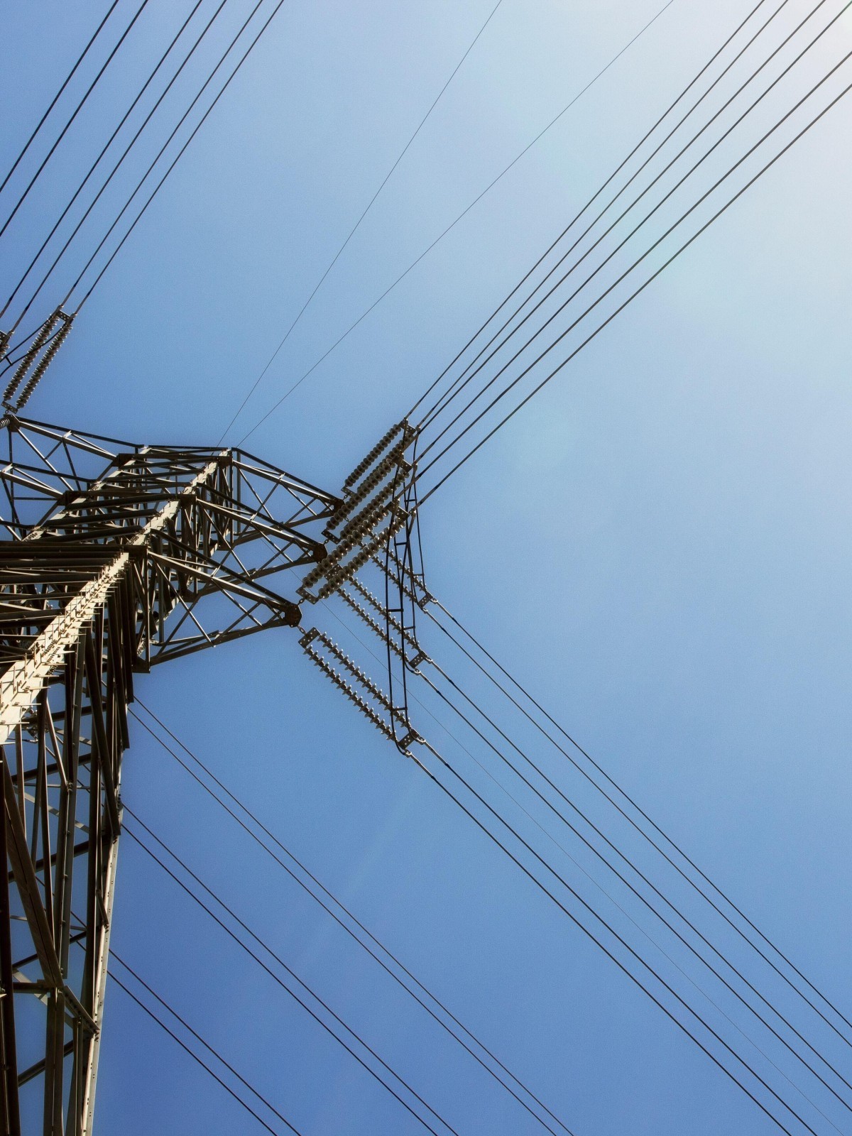 Lansons | Team Farner