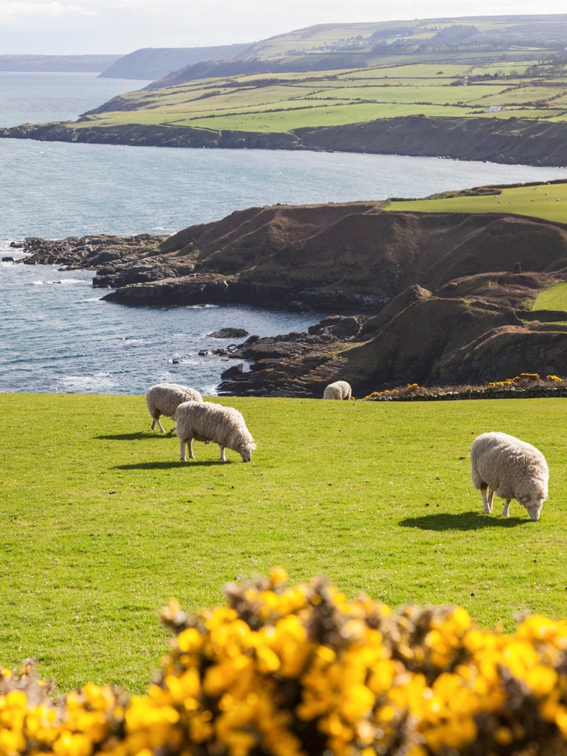 Lansons | Team Farner